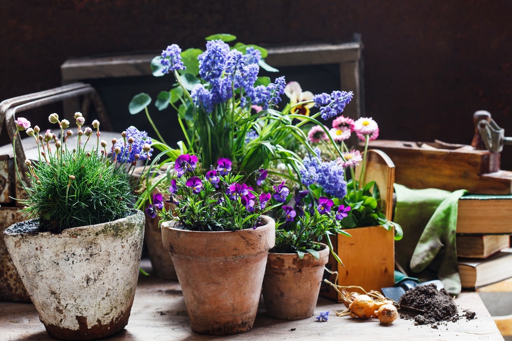 Here's how to make the most of your spring garden - Garden Retreat