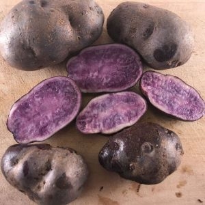 Gourmet Russian Blue Potatoes - Garden Retreat